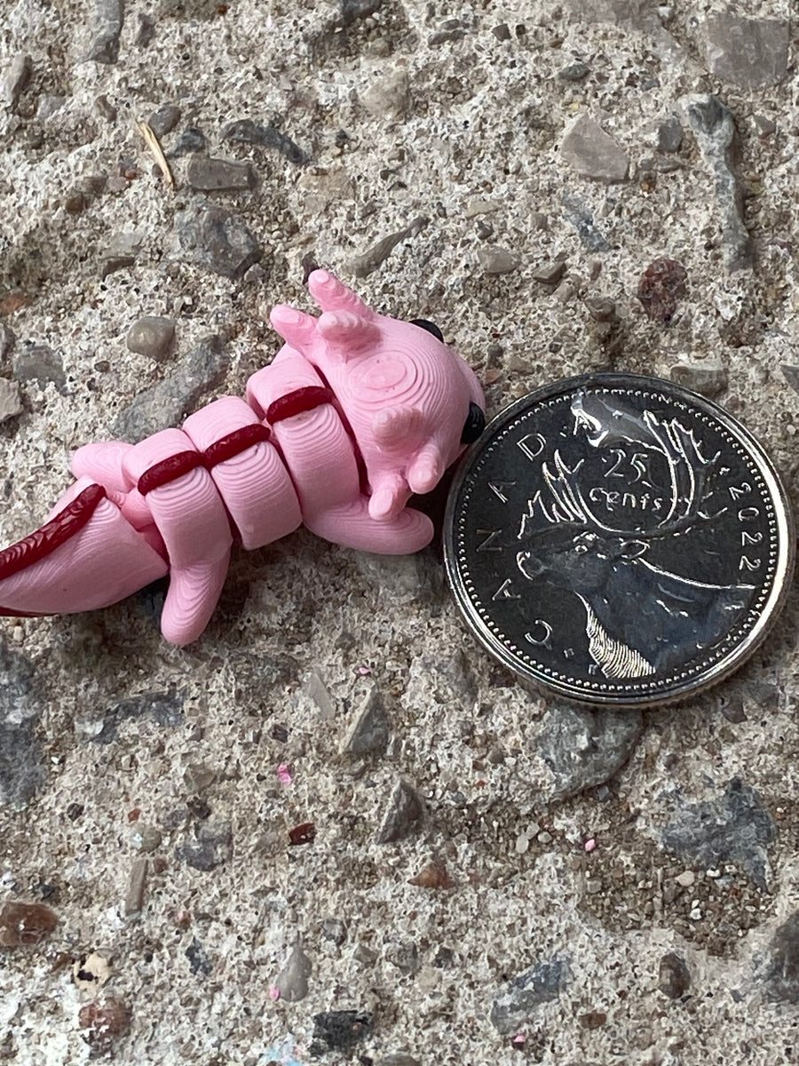Enchanting 3D Printed Micro Axolotl Figurine – Canadian Cutters